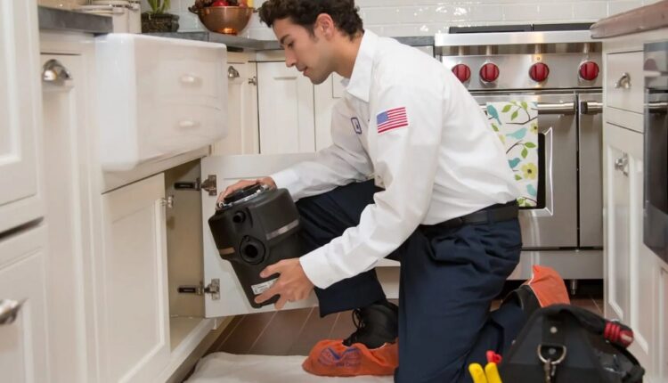 The Homeowner’s Ultimate Guide to Garbage Disposal Maintenance - House ...